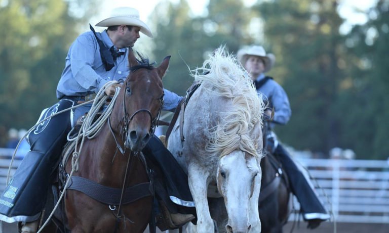 Flagstaff Pro Rodeo 2019 - Cowboy Lifestyle Network