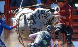 Ponoka Stampede 2019 - Cowboy Lifestyle Network