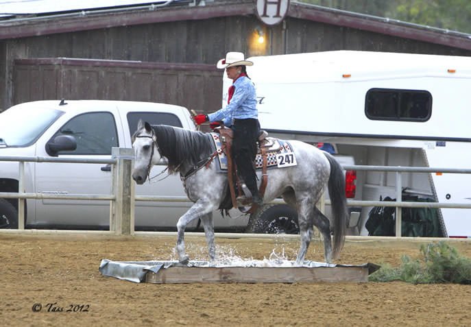 Santa Barbara Old Spanish Days Stock Horse Show and Rodeo 2019 - Cowboy ...
