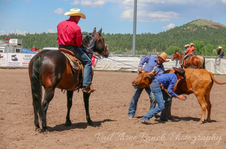 41st Arizona Cowpunchers Reunion Highlights - Cowboy Lifestyle Network