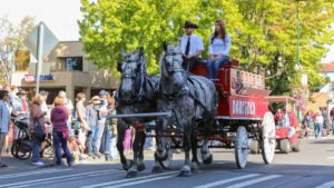 Guide to Washington State Fair & Rodeo 2019 - Cowboy Lifestyle Network