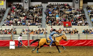 The Grand National Rodeo 2019 - Cowboy Lifestyle Network