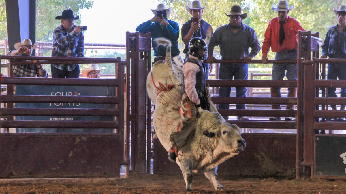 Gilbert Days Rodeo 2023 - Cowboy Lifestyle Network