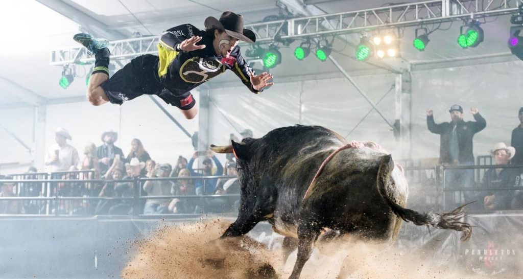 Bullfighters Only (BFO) Bullfighting | Cowboy Lifestyle Network (CLN)