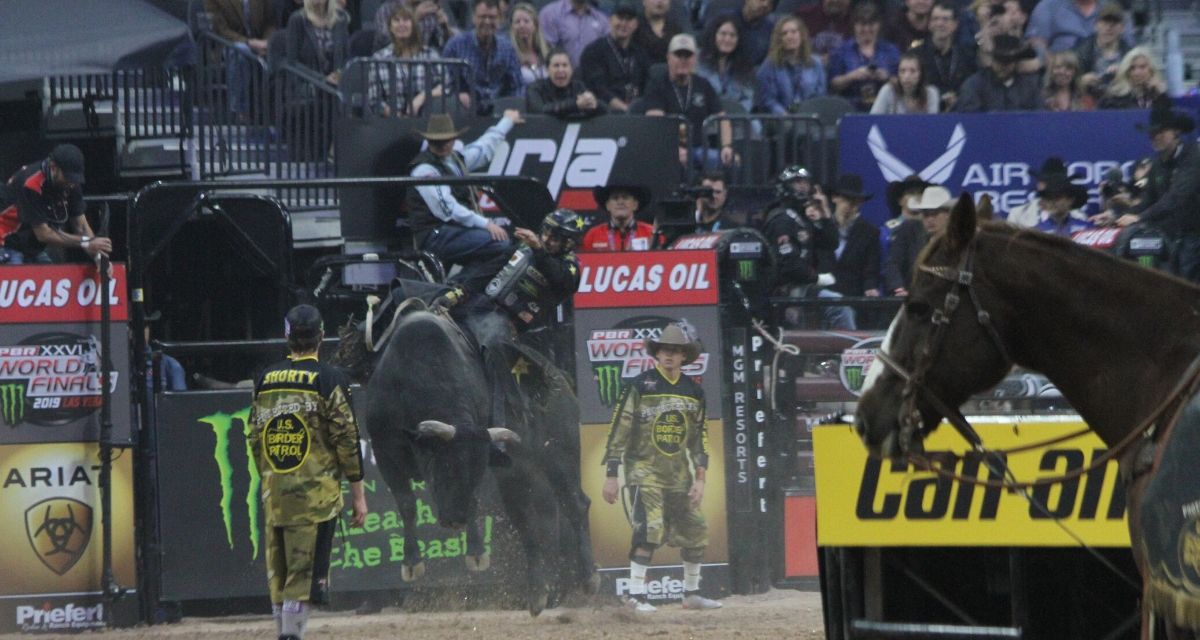 PBR Returns to Madison Square Garden to Kick off 2020 - Cowboy ...
