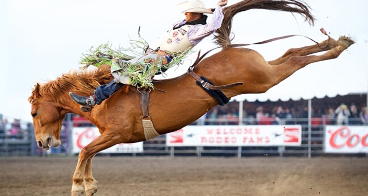 Saddle Up for Adventure: The Santa Maria Elks Rodeo & Parade Stampede ...