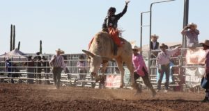 Lost Dutchman Days Rodeo 2020 - Cowboy Lifestyle Network