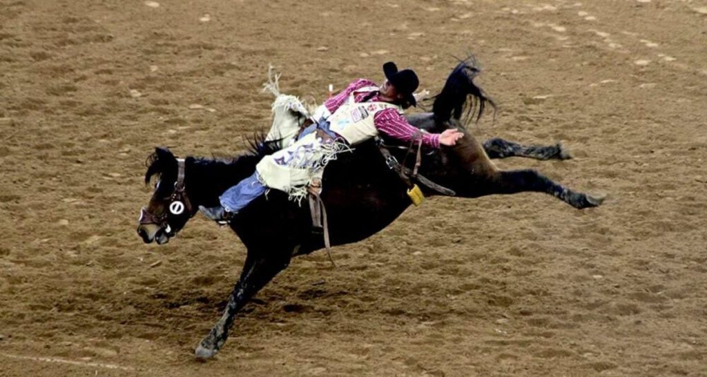 Houston Livestock Show & Rodeo 2020 - Cowboy Lifestyle Network