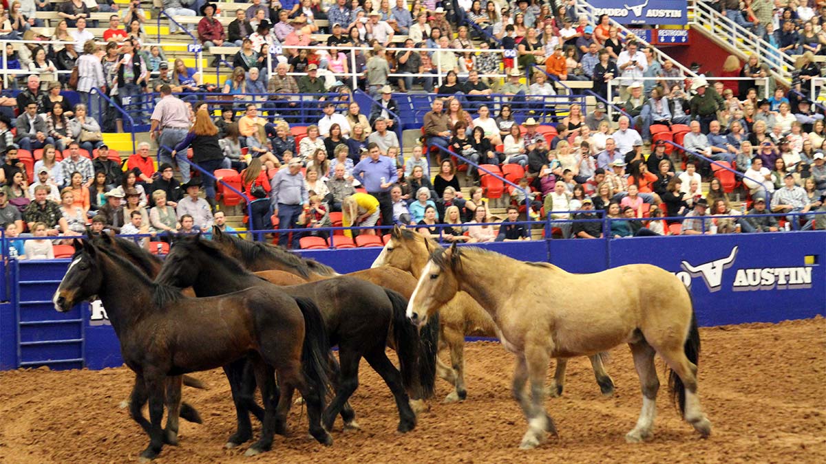 Rodeo Austin 2020: Where Weird Meets Western - Cowboy Lifestyle Network