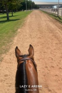 WCRA Releases Stampede At The E Competition Schedule And Highlights ...