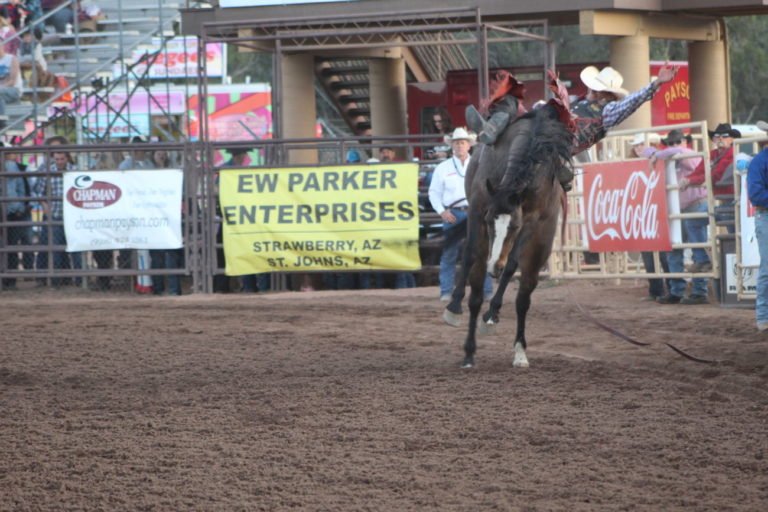 Payson Pro Rodeo 2020: World's Oldest Continuous Rodeo