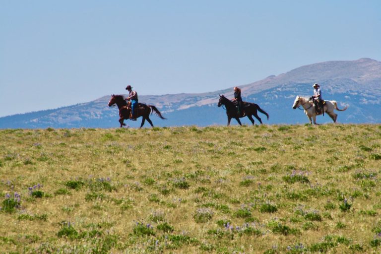 Historic Working Dude Ranches - Cowboy Lifestyle Network