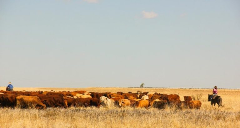 Historic Working Dude Ranches - Cowboy Lifestyle Network