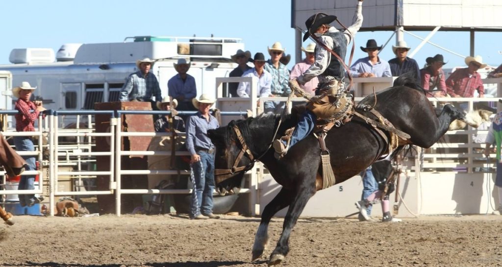 Rex Allen Days Rodeo 2020 - Cowboy Lifestyle Network