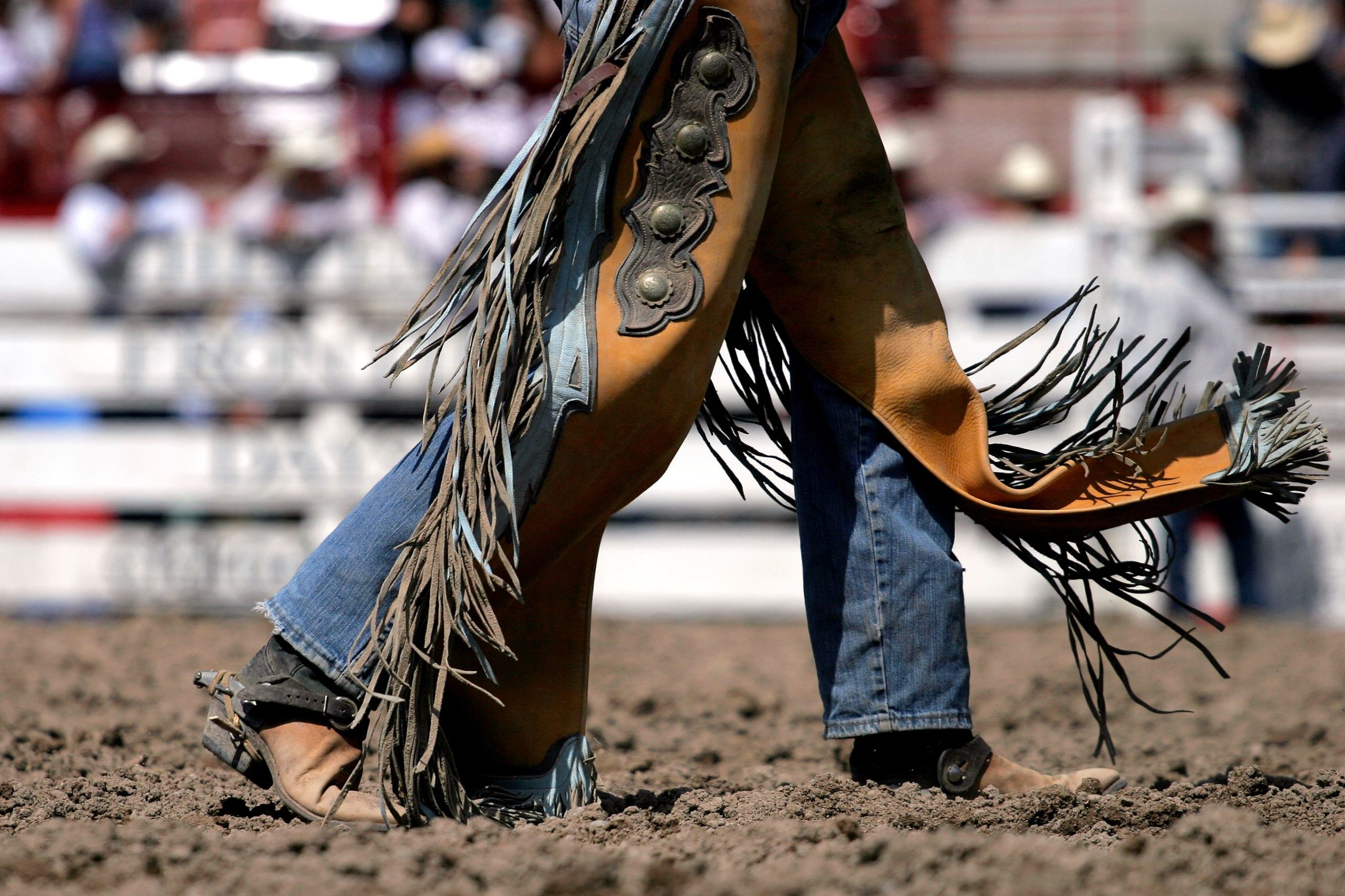 Animal Welfare in Rodeo Livestock - Cowboy Lifestyle Network