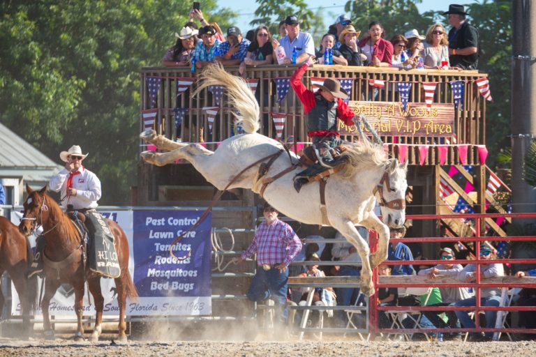 Animal Welfare in Rodeo Livestock - Cowboy Lifestyle Network