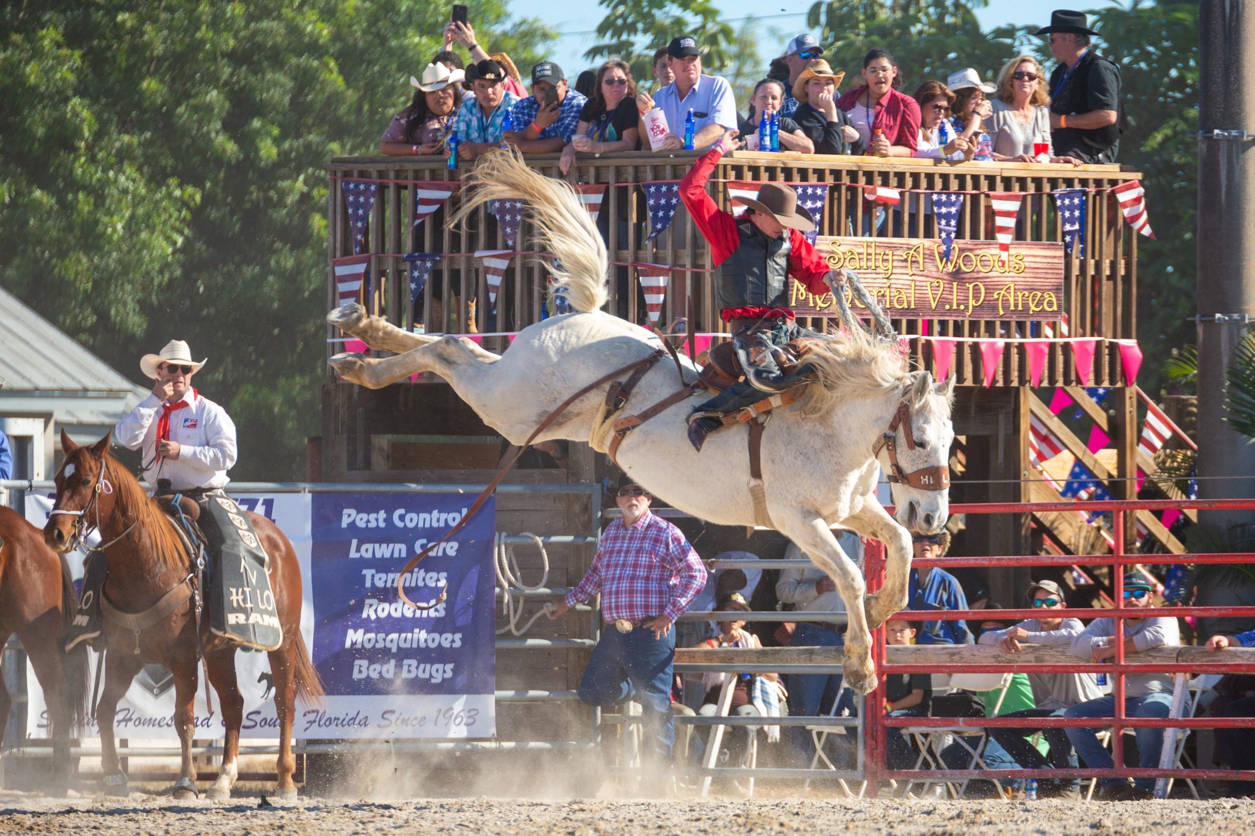 Animal Welfare in Rodeo Livestock - Cowboy Lifestyle Network