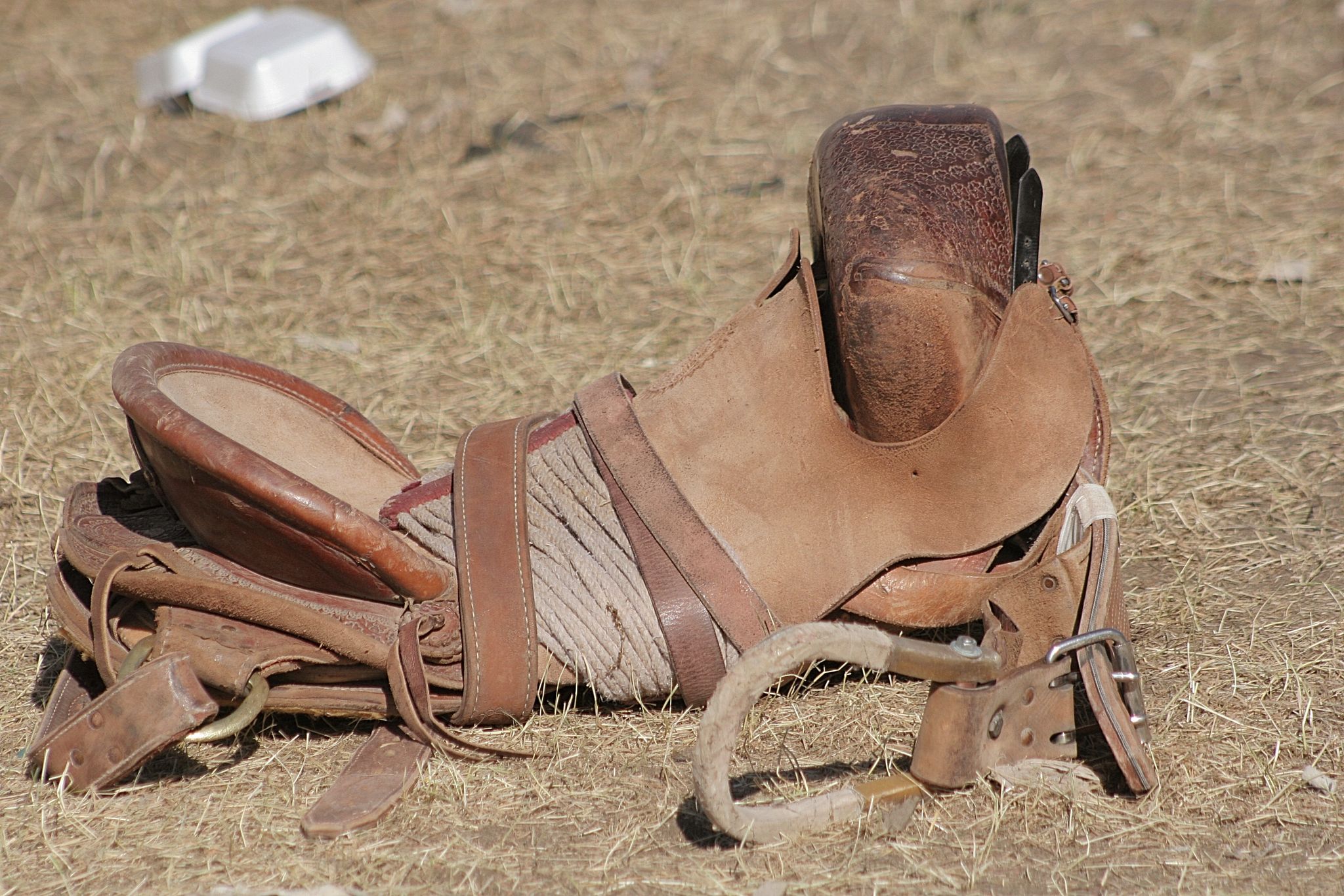 Animal Welfare in Rodeo Livestock - Cowboy Lifestyle Network