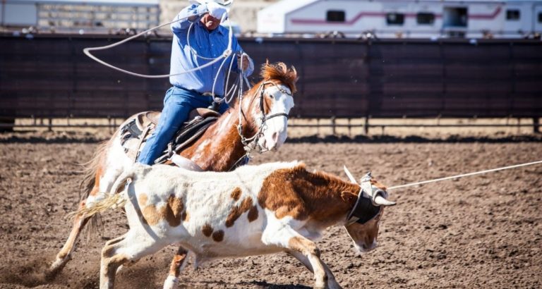 Team Roping: Rodeo 101 - Cowboy Lifestyle Network