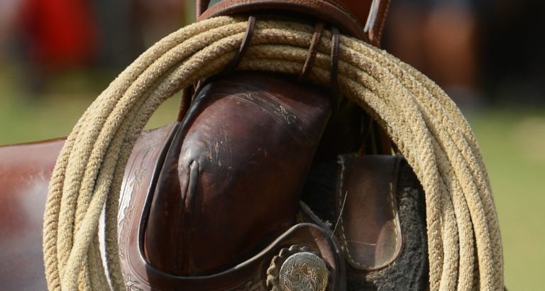 Team Roping: Rodeo 101 - Cowboy Lifestyle Network