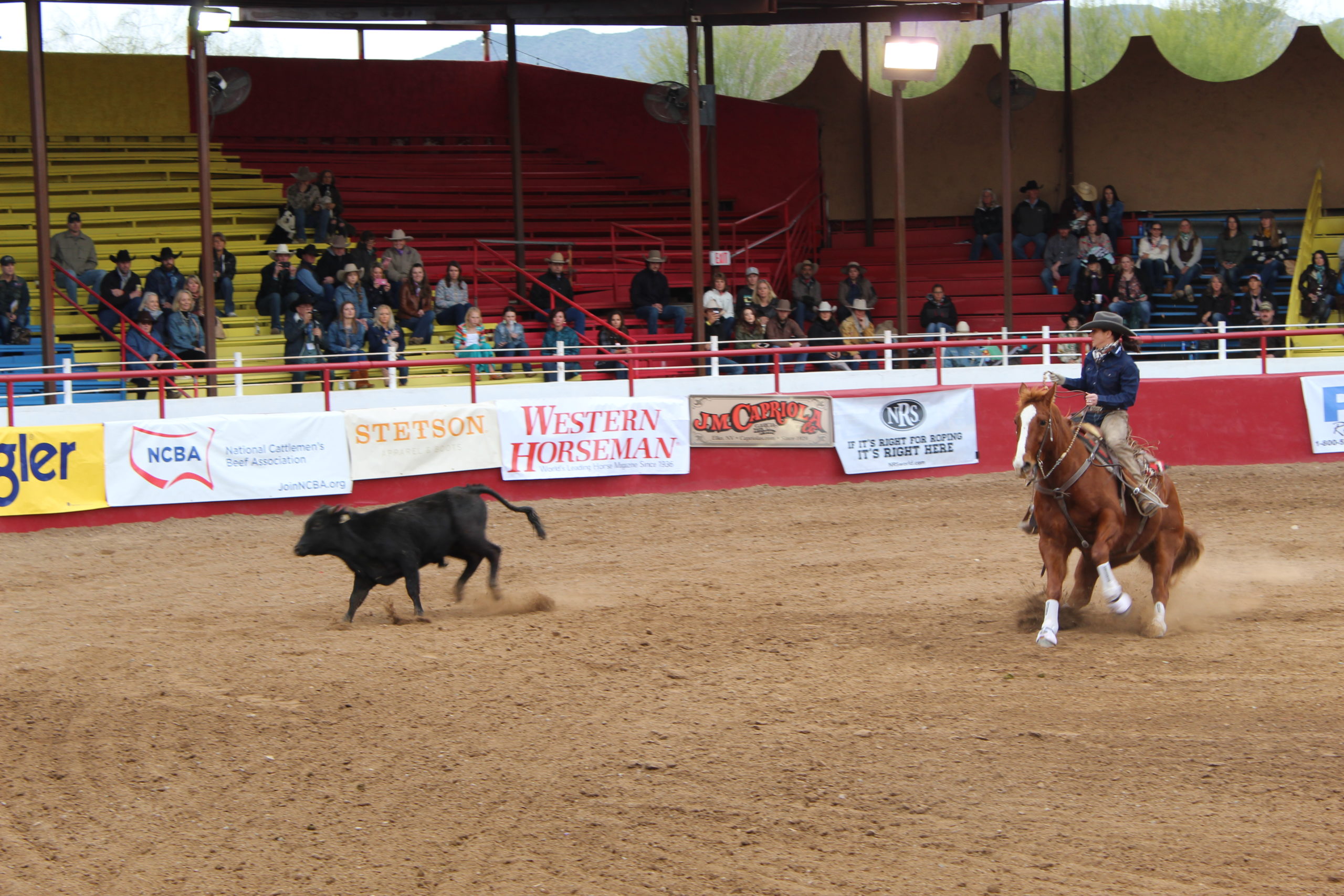 Art of the Cowgirl 2021 - Cowboy Lifestyle Network