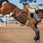 Rodeo 101: International Professional Rodeo Association (IPRA) - Cowboy ...