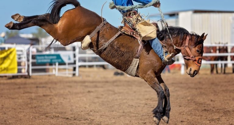 What It Takes To Be a Rough Stock Rider