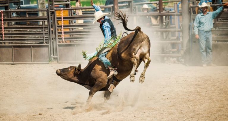 What It Takes To Be a Rough Stock Rider