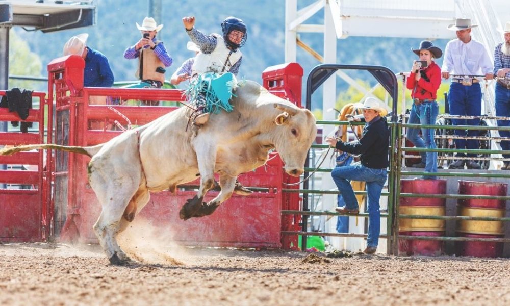 Miss Rodeo Arizona 2022 - Cowboy Lifestyle Network