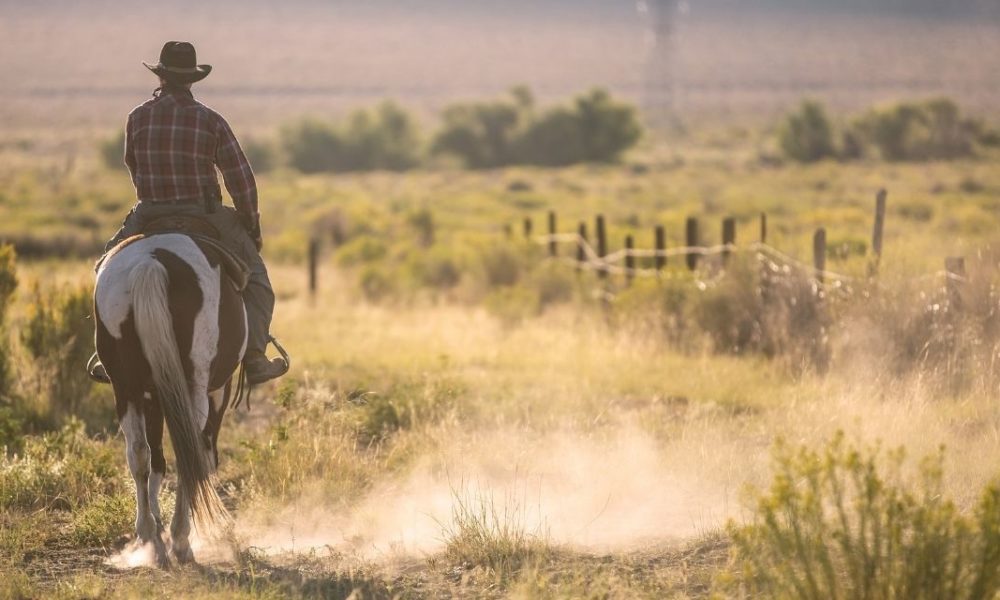 5 Types of Cowboys You Know and Love - Cowboy Lifestyle Network