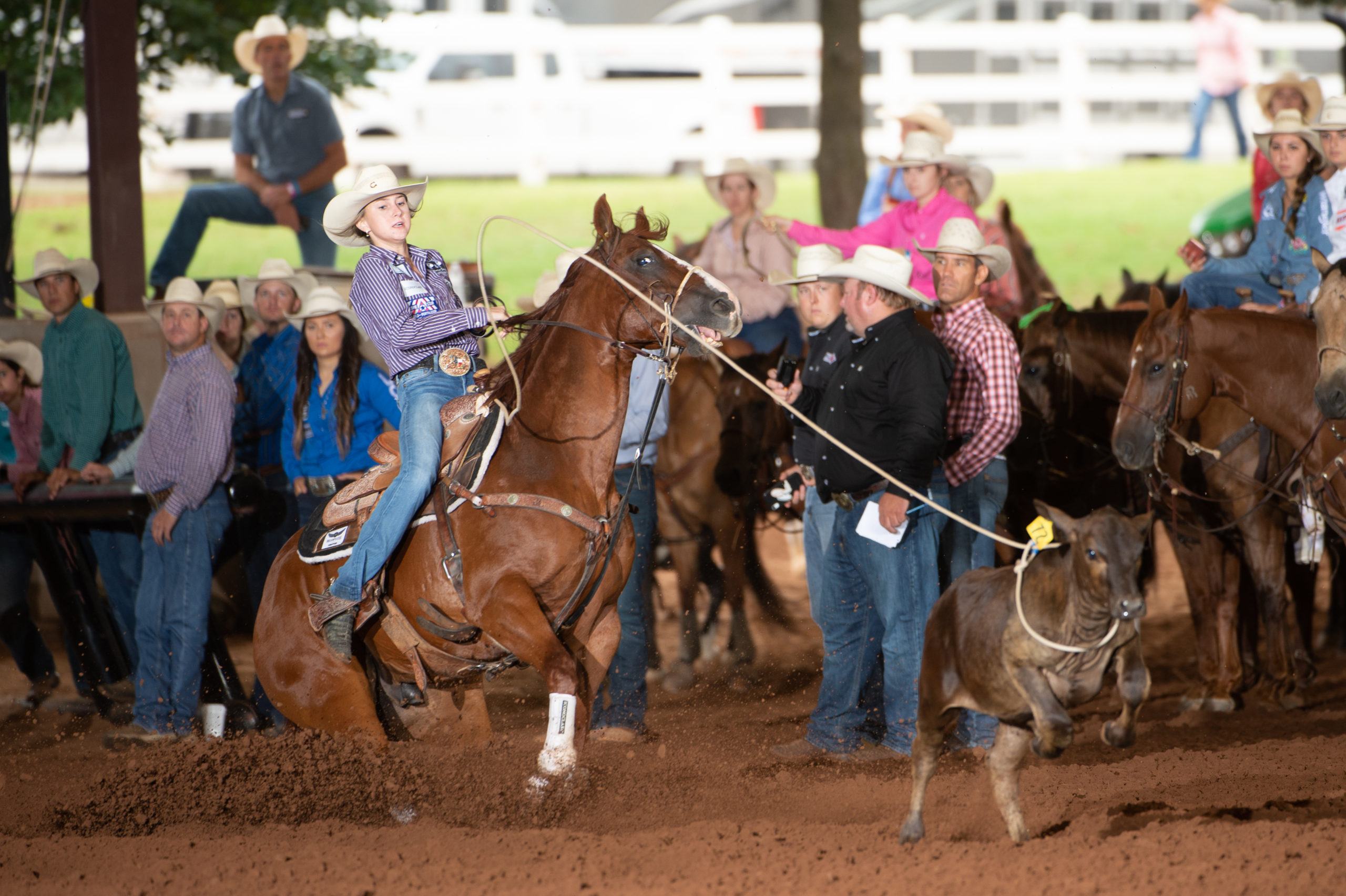 WCRA Exclusive with Josie Conner - Cowboy Lifestyle Network