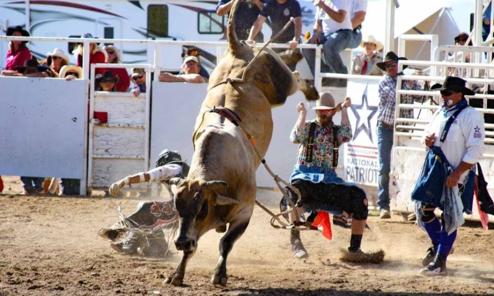 Cave Creek Rodeo Days 2021 - Cowboy Lifestyle Network