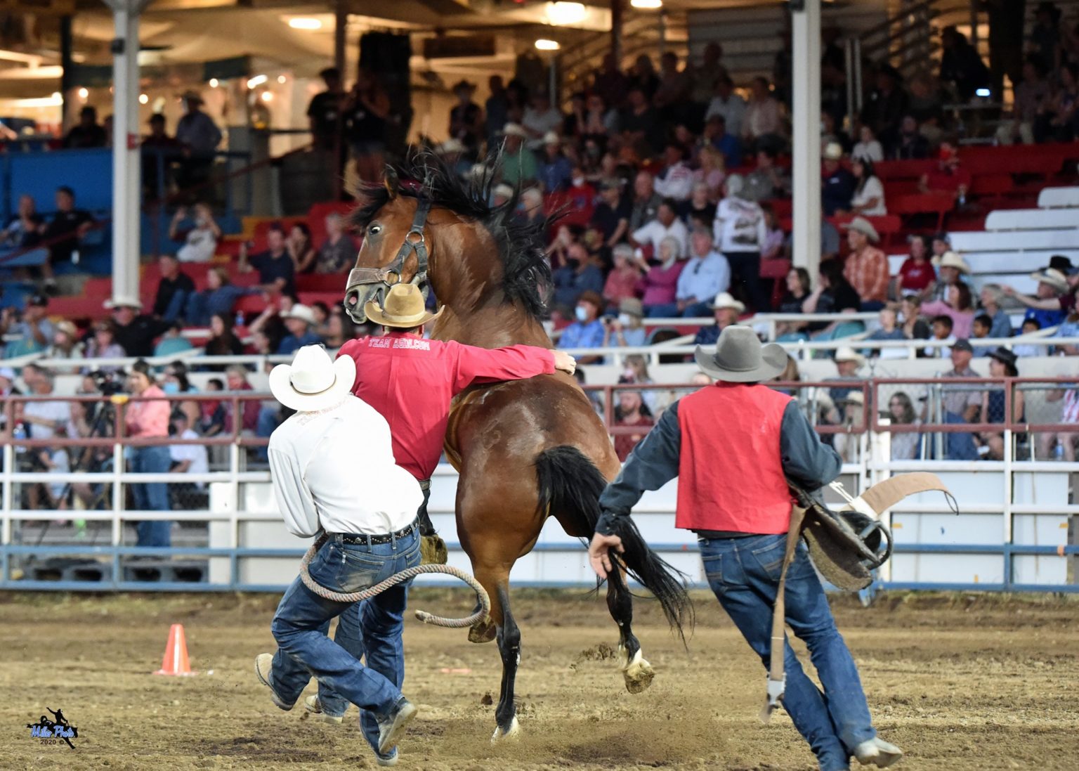 Prescott Frontier Days 2021: World's Oldest Rodeo