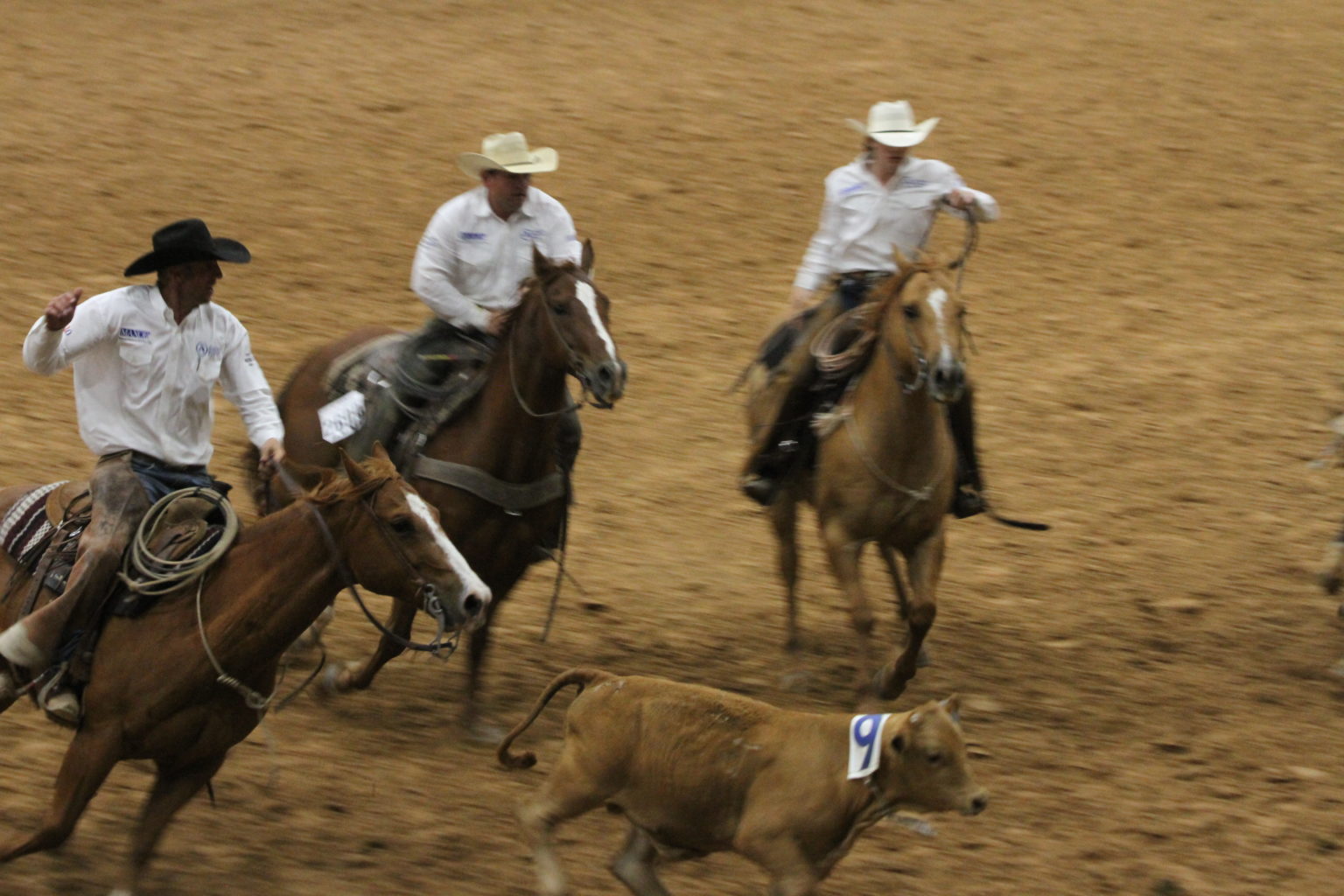 Coors Cowboy Club Ranch Rodeo 2021 - Cowboy Lifestyle Network