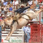 CLN: At the NFR National Finals Rodeo in Las Vegas- Don't Be That Guy!