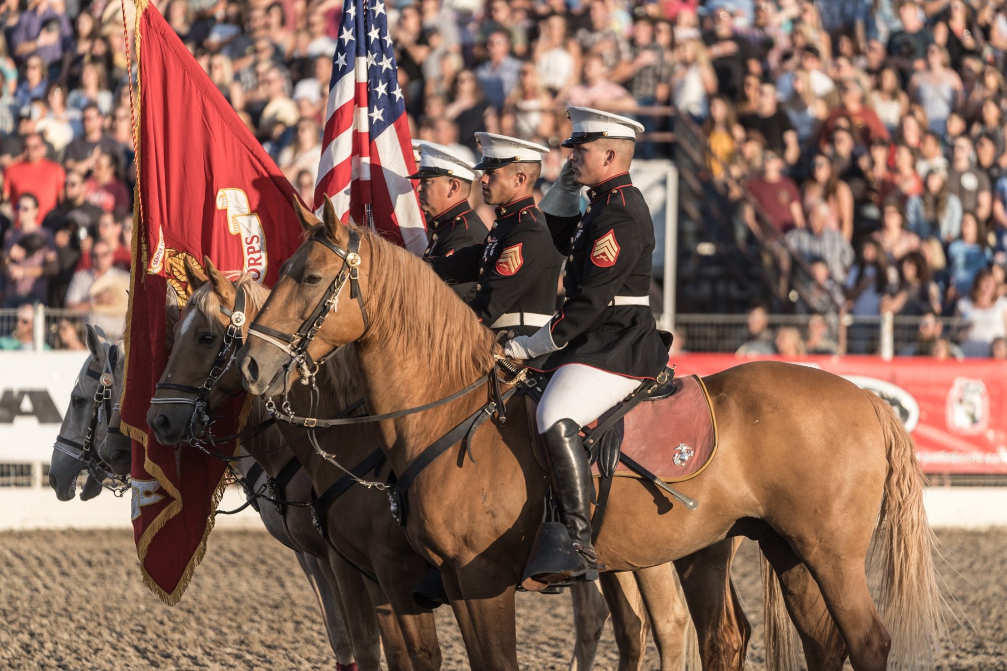 Caldwell Night Rodeo 2021 - Cowboy Lifestyle Network