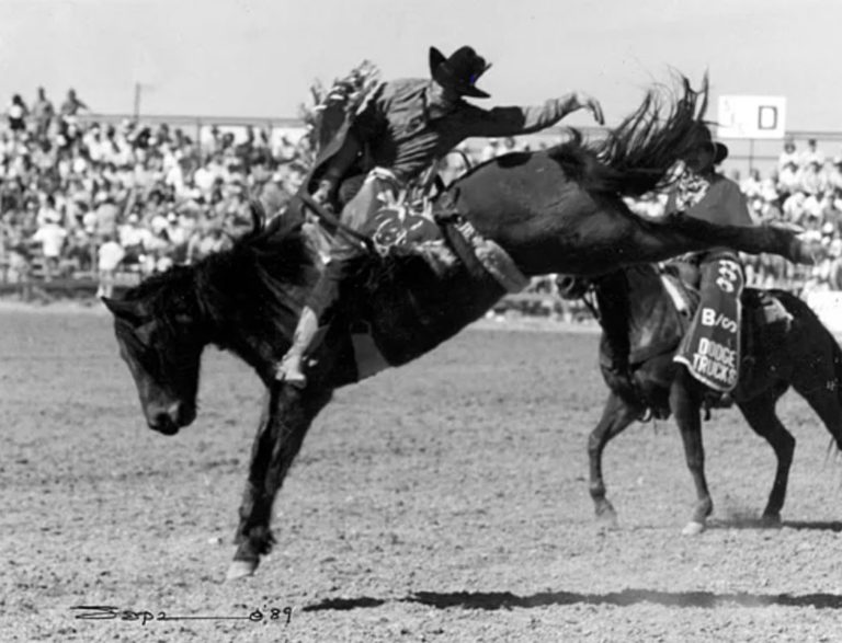 History & Evolution of the World's Oldest Rodeo: Payson Pro Rodeo