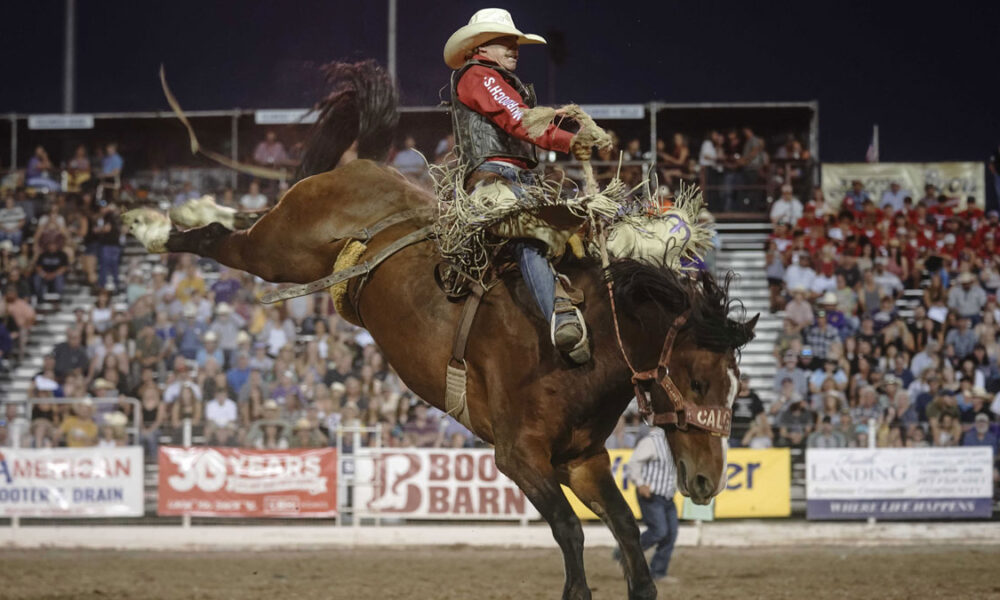 Montana saddle bronc rider keeps momentum going at Caldwell Night Rodeo ...