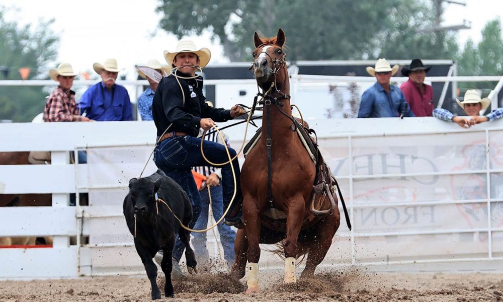 Coors Cowboy Club Ranch Rodeo 2015 | CLN