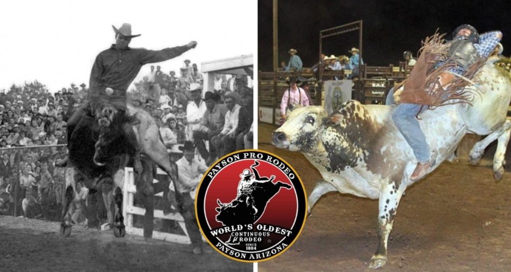 History & Evolution of the World's Oldest Rodeo: Payson Pro Rodeo