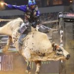 Meet and Greet With Mike Lee