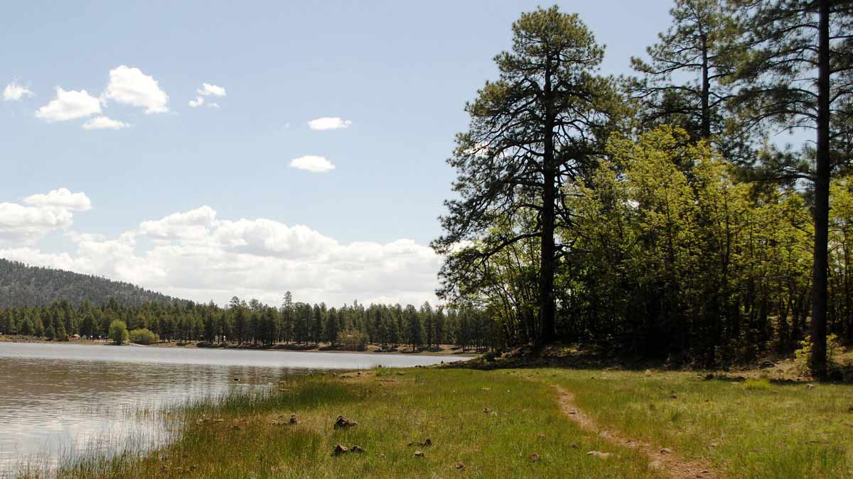 Earnhardt promotes podcast via #ArizonaGameandFishFridays