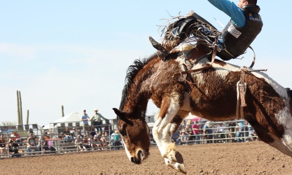 High Desert Stampede 2019 - Cowboy Lifestyle Network