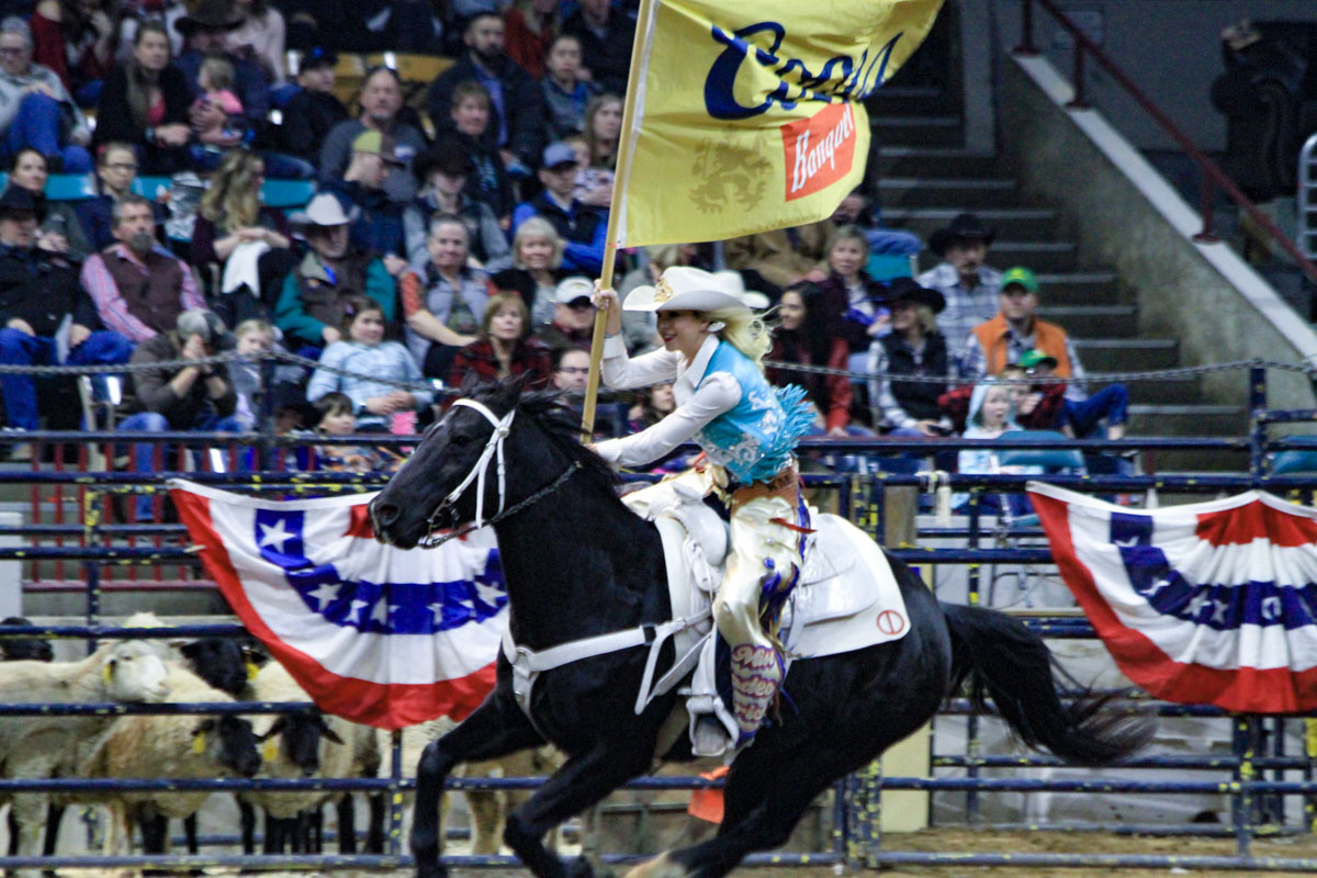 Super Saturday kicks off National Western Stock Show 2022 - Cowboy ...
