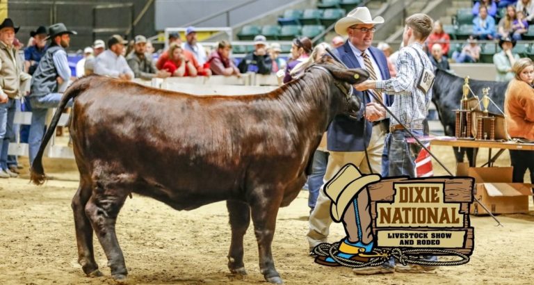 Dixie National Livestock Show & Rodeo 2025 - Cowboy Lifestyle Network