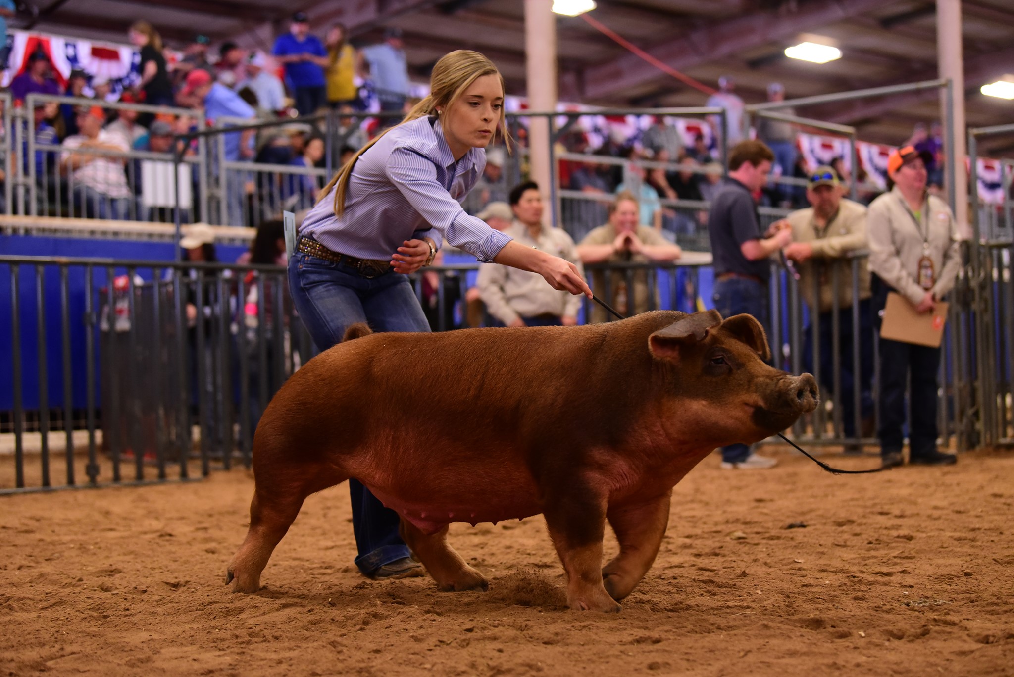 Rodeo Austin 2022 - Cowboy Lifestyle Network | Austin, Texas