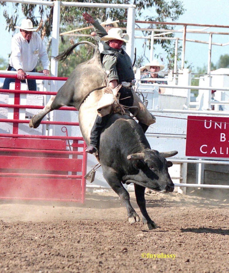 CSI Champions Rodeo School 2023 - Cowboy Lifestyle Network