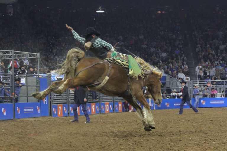 Houston Livestock Show and Rodeo 2022 - Cowboy Lifestyle Network