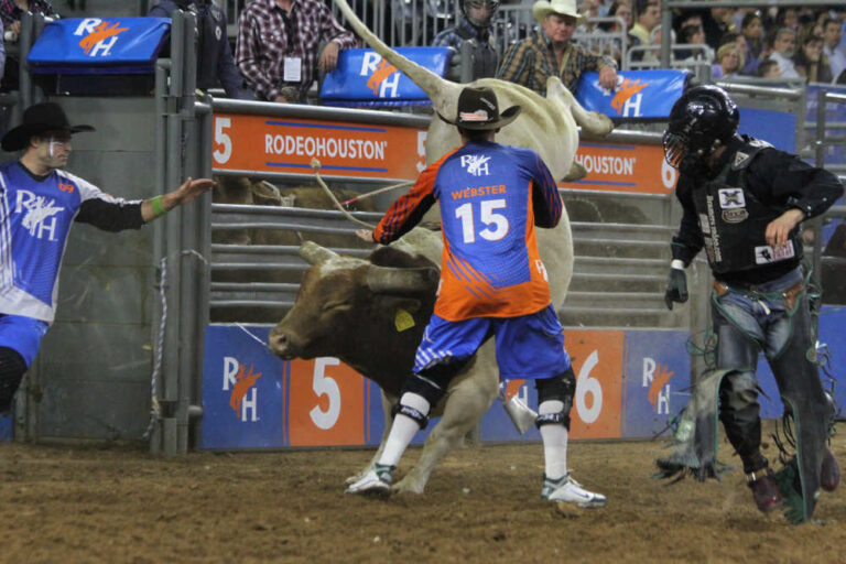 Houston Livestock Show and Rodeo 2022 - Cowboy Lifestyle Network