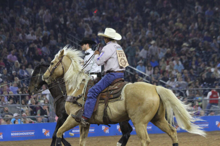 Houston Livestock Show and Rodeo 2022 - Cowboy Lifestyle Network